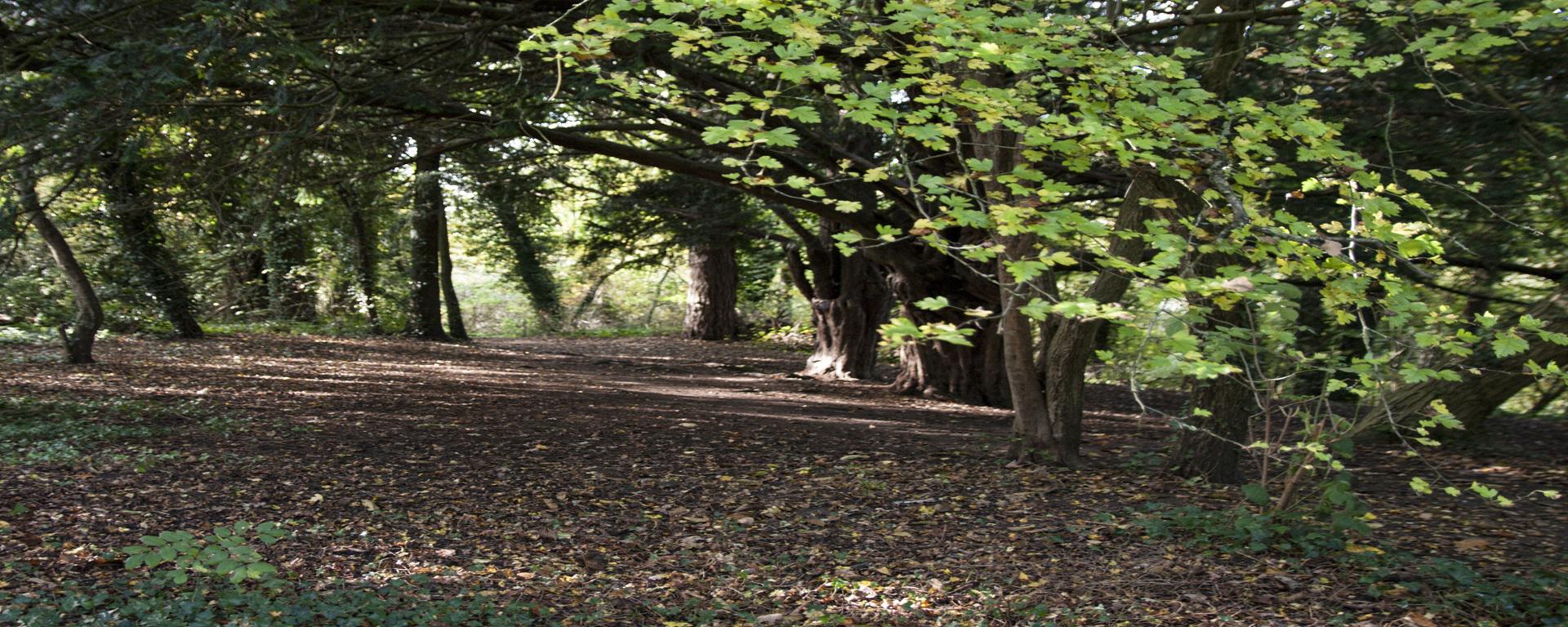 Home - Boxley Parish Council