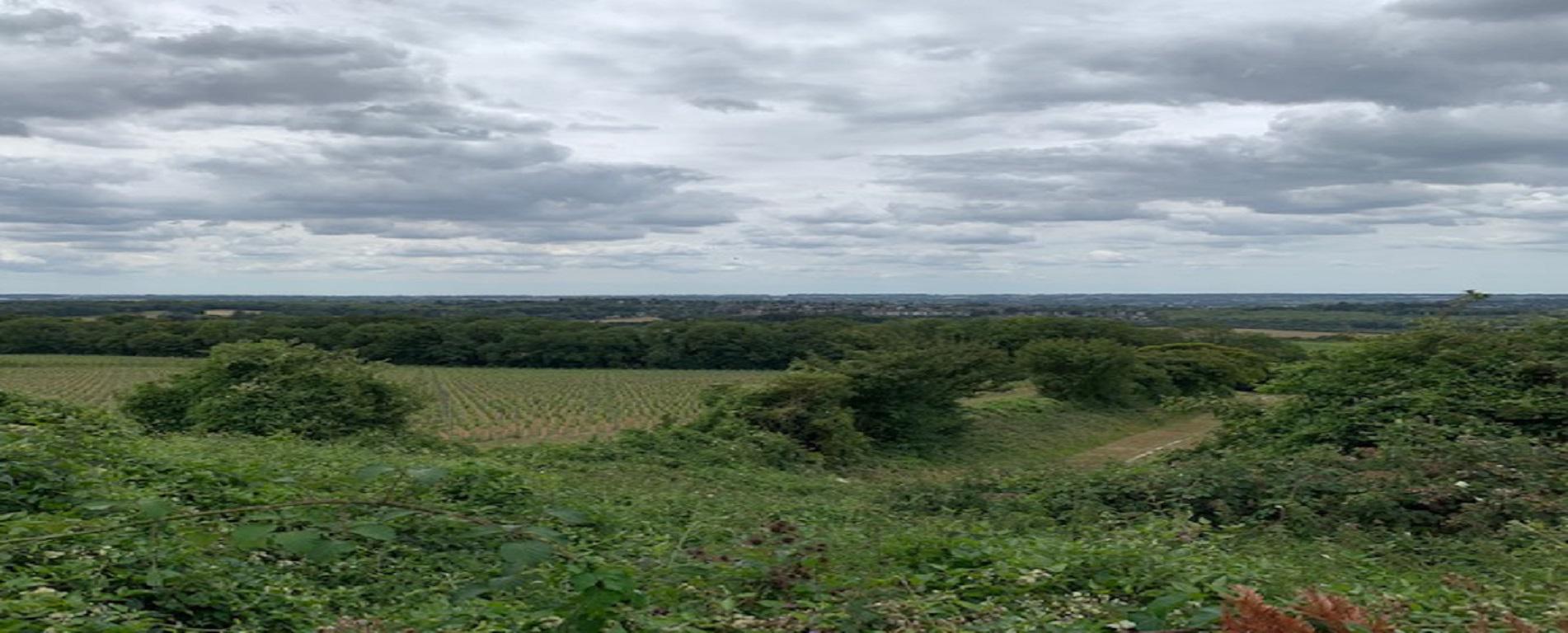 Home - Boxley Parish Council