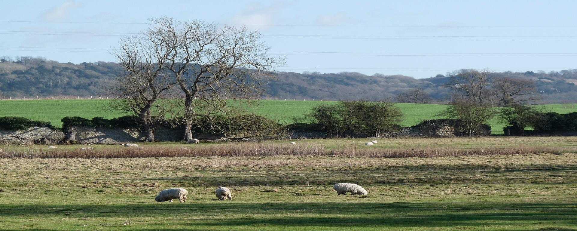 Home - Boxley Parish Council