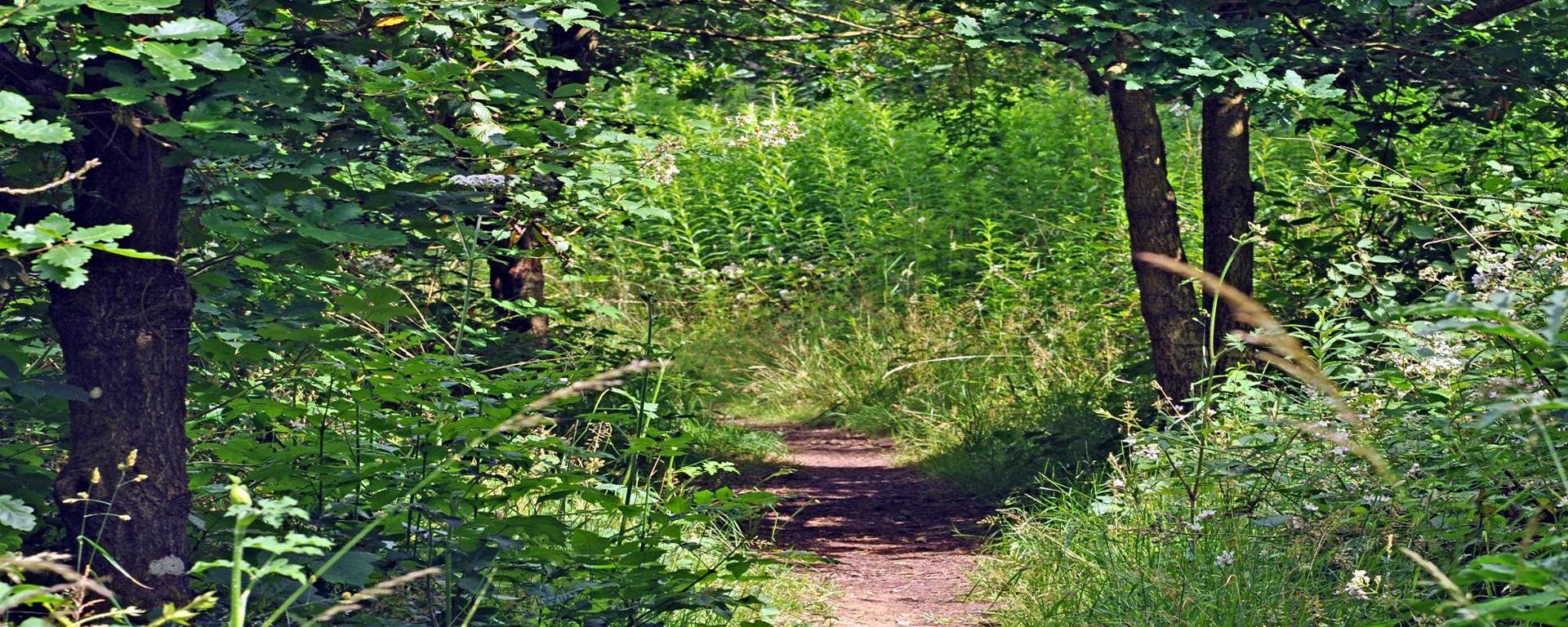 Home - Boxley Parish Council